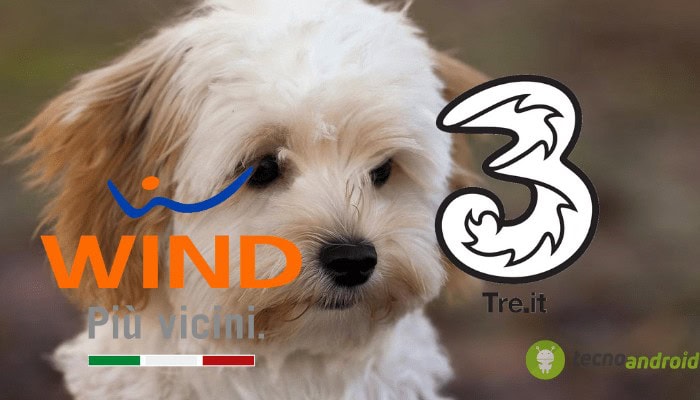 WindTre supera le offerte di Iliad, Vodafone e TIM con 80 giga al mese ...