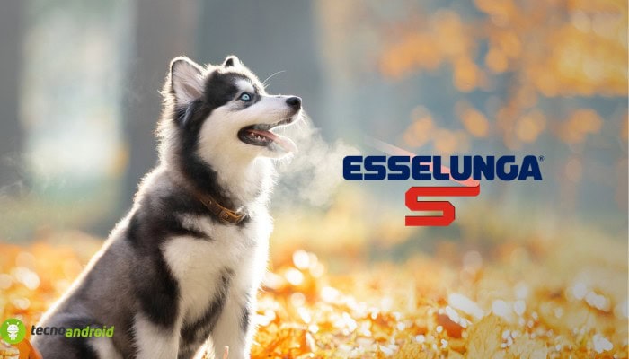 Esselunga shock: ecco l'elenco assurdo di smartphone al 70% - TecnoAndroid