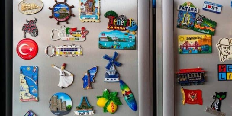 Calamite sul frigorifero: ecco perché non dovresti metterle - TecnoAndroid