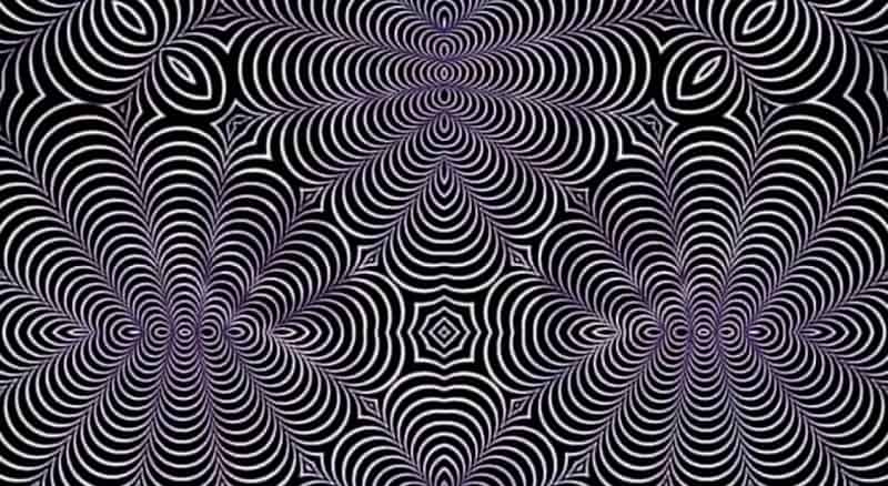 Illusioni ottiche, le più strane presenti sul web