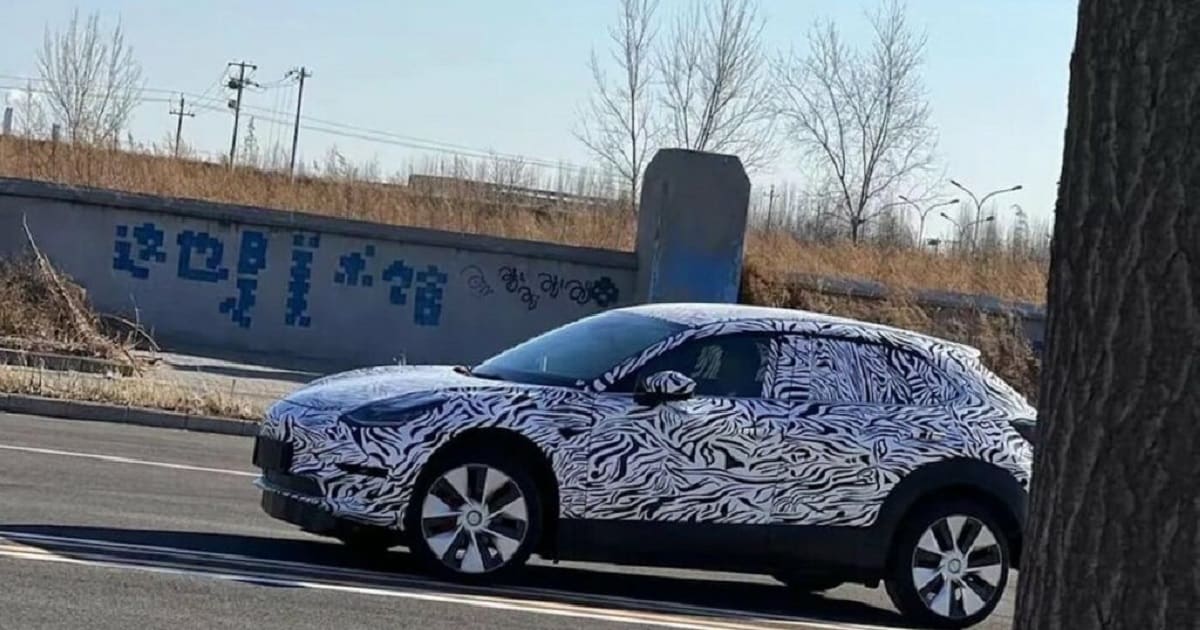 Tesla Model 2, le prime incredibili foto spia