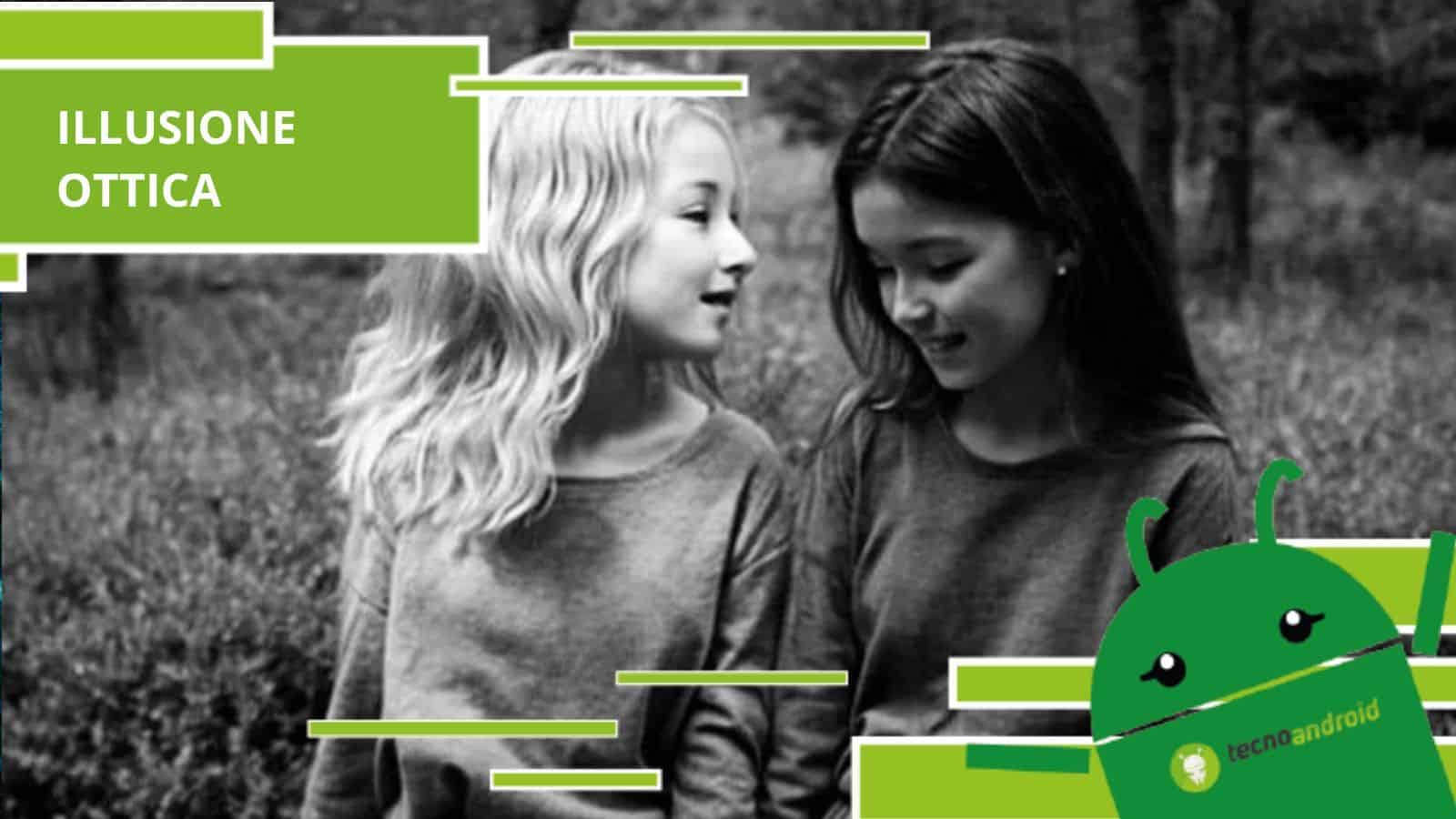 Illusione Ottica, nell'immagine c'è un volto nascosto molto inquietante