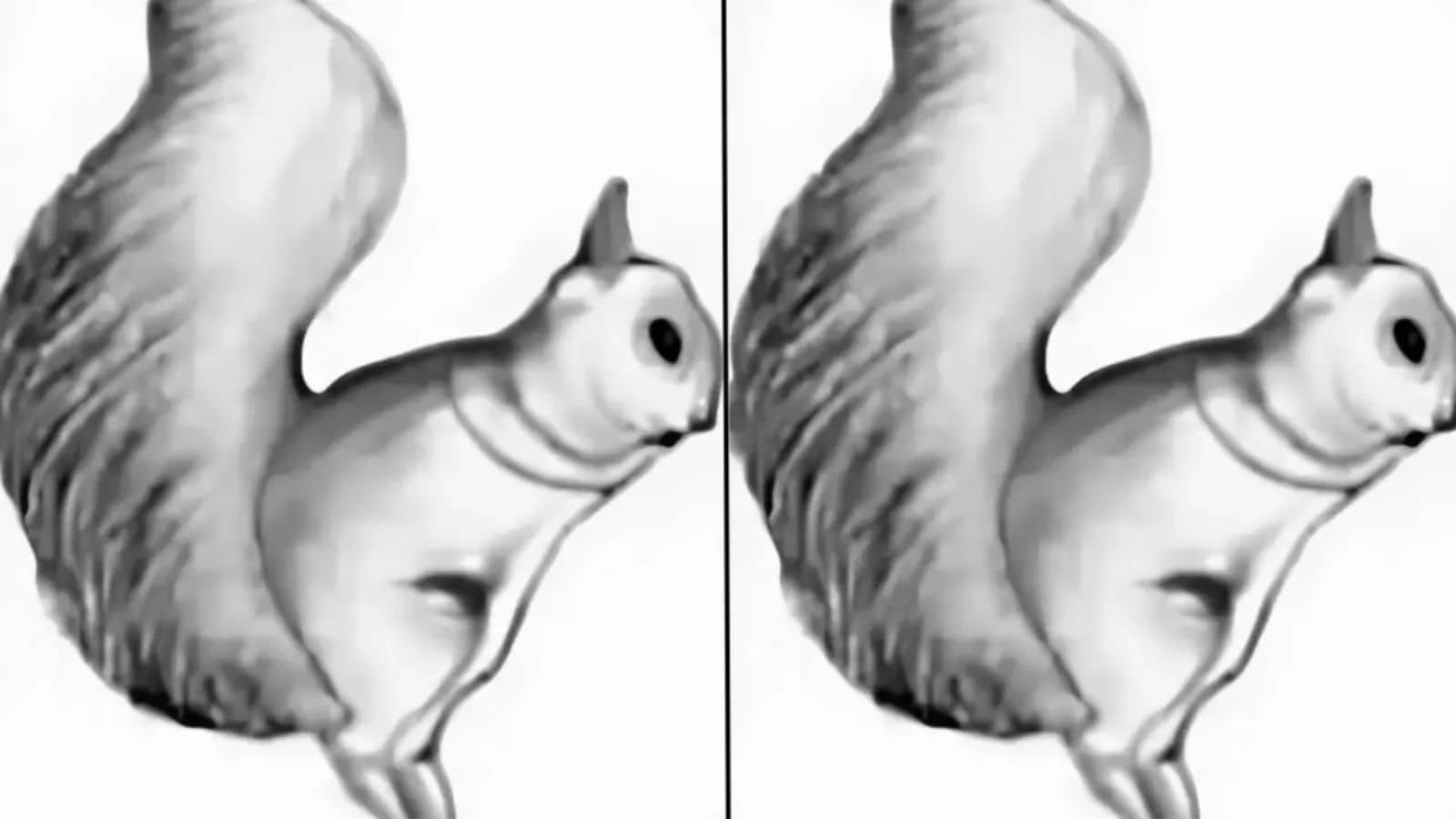 Illusione ottica: qual è l'animale nascosto nell'immagine?