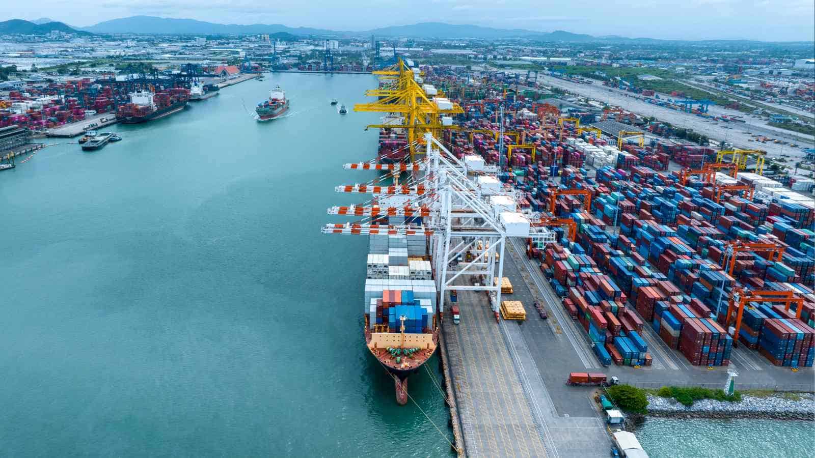 Le auto elettriche cinesi che rimangono nei porti europei