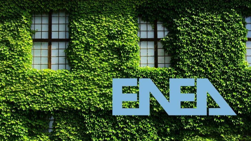 Tetti e pareti verdi: L'ENEA promuove l'efficienza energetica ...