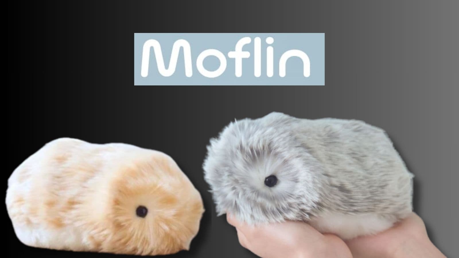 Casio Moflin: ecco cosa si sa sui robot che fanno le coccole