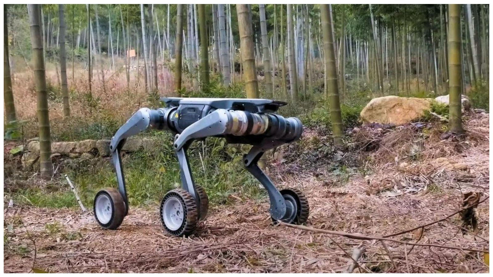Lynx: il robot che sfida ogni terreno