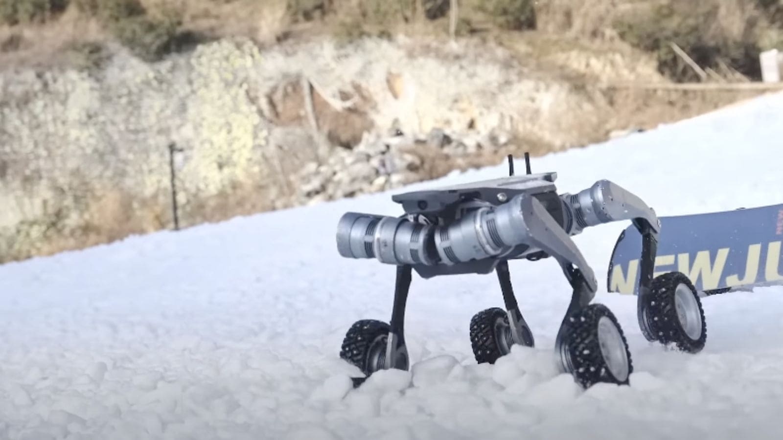 Lynx di Deep Robotics: il cane robot per ogni terreno costa 17.000€