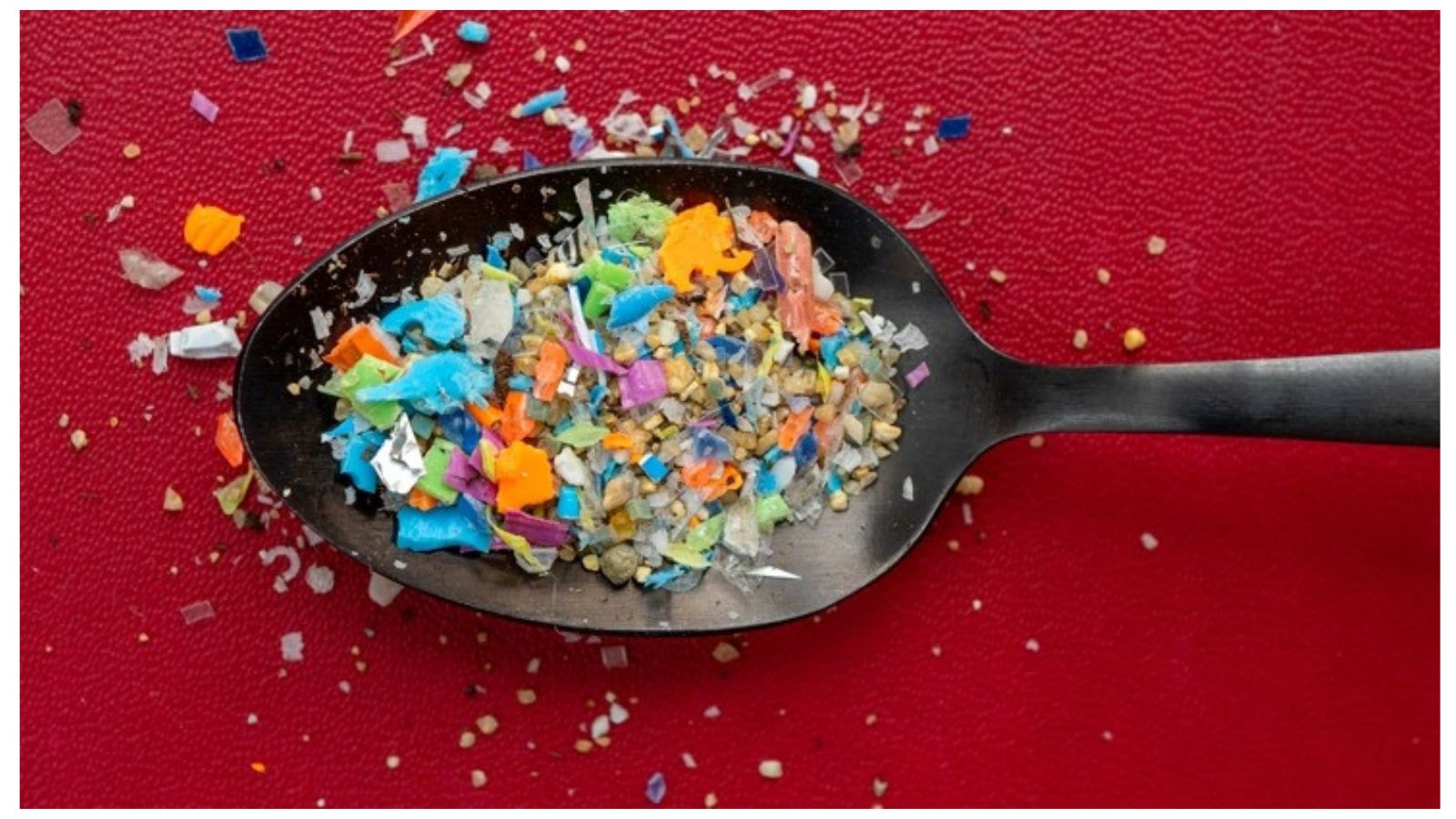 Microplastiche nel suolo: un rischio sempre più alto per l’ambiente e ...