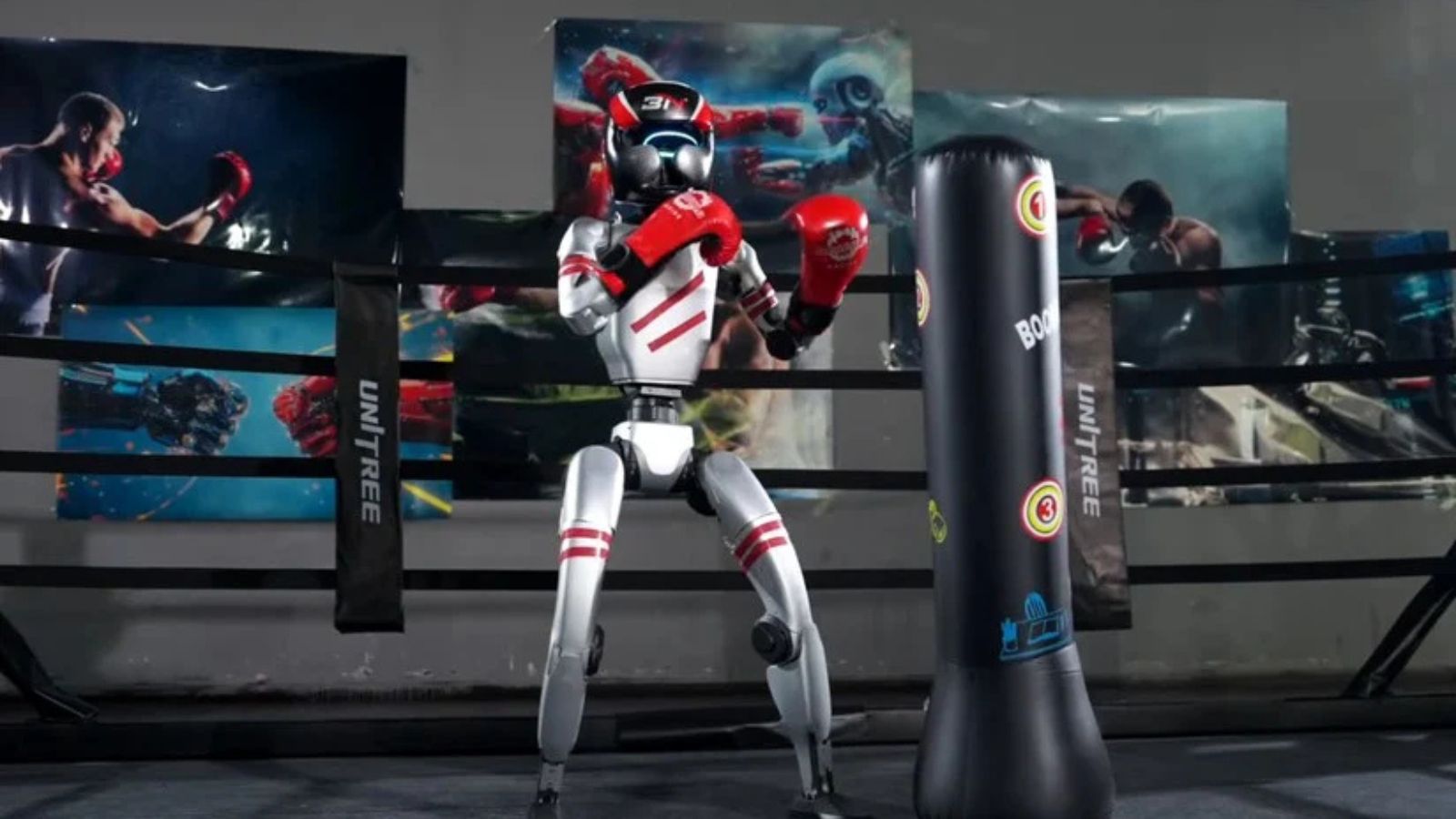 Robot sul ring: Unitree porta la boxe