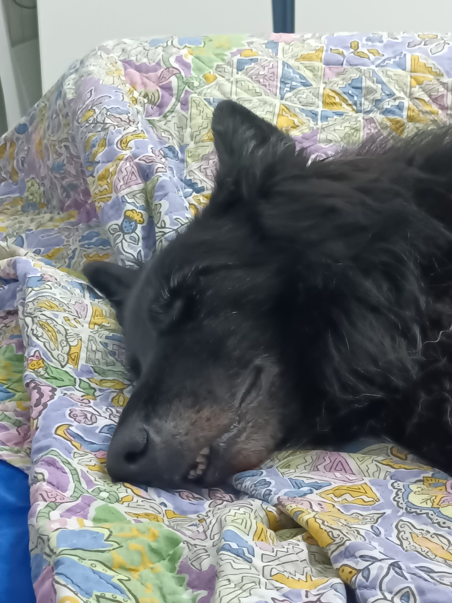 Cubot X100: lo smartphone economico che osa con un secondo schermo posteriore - Recensione